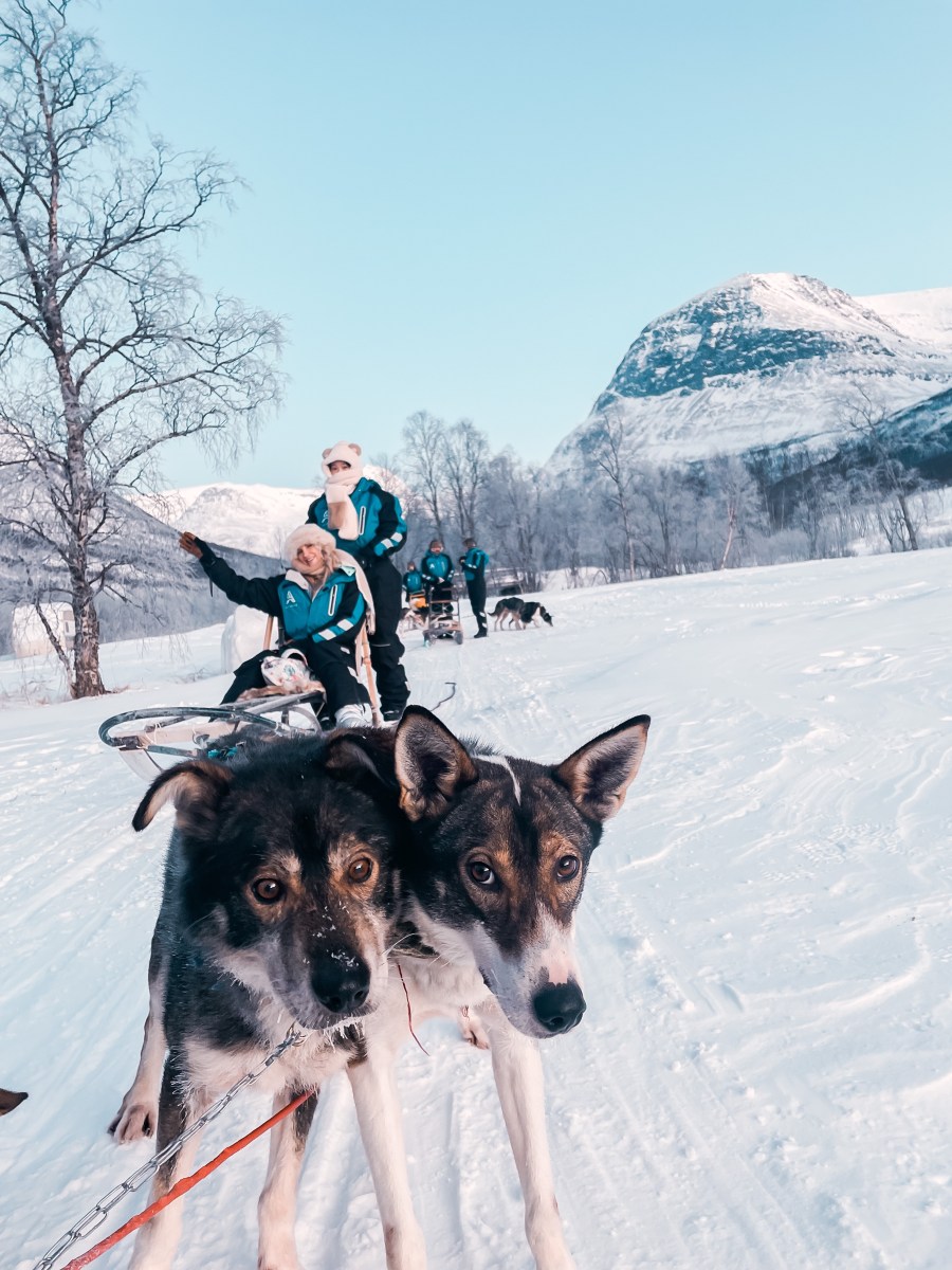 Husky sledge adventure in Lapland – Gone with the wind